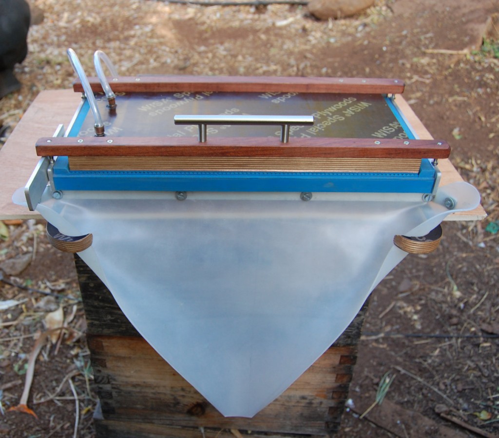 ENGLISH foundation molds | ResistantBees